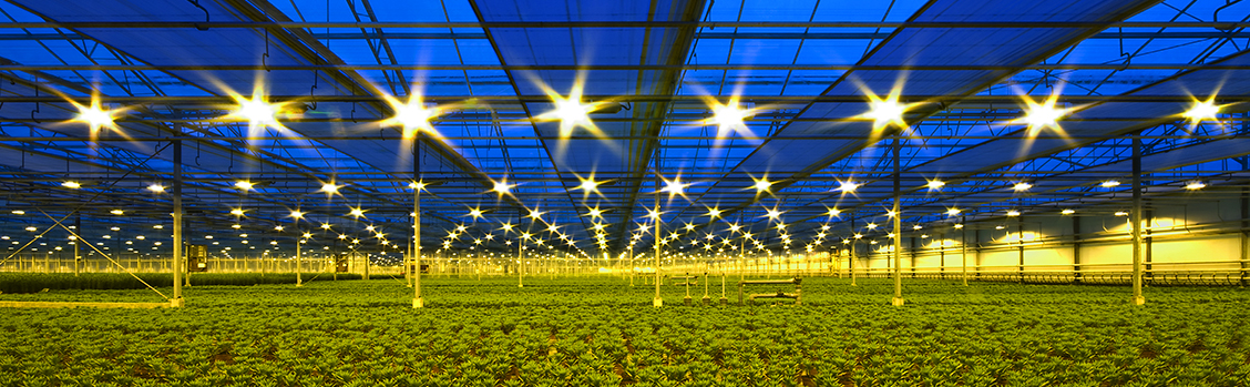 AI for Sustainable Food Systems